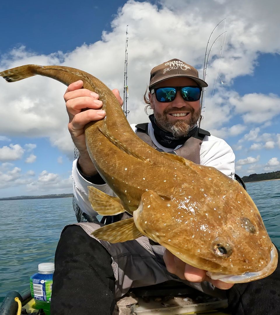 Flathead - Species Guide